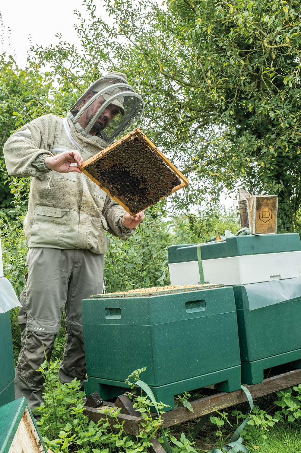WIR aus der Region: Regionaler Honig von Markus Nix aus Blatzheim - REWE RICHRATH